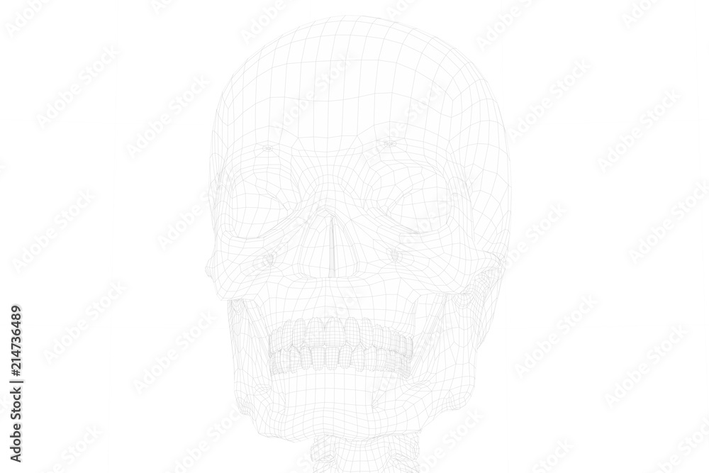 Head skull of man in light gray wireframe on white background. 3D ...