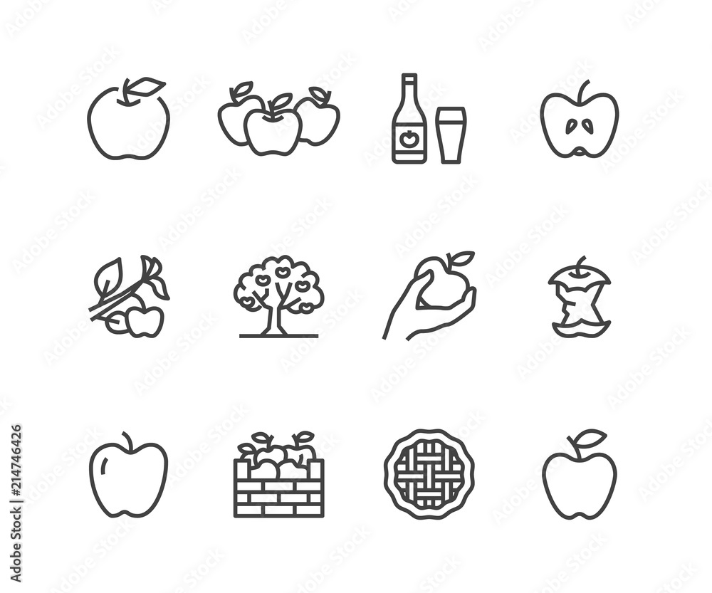 Apples flat line icons. Apple picking, autumn harvest festival, craft ...