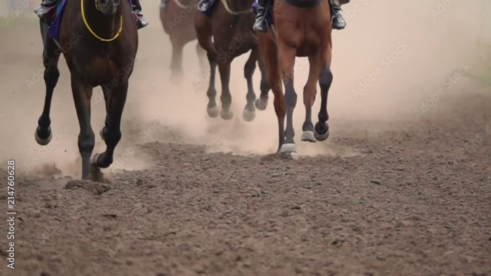 Horse Racing. The Feet of the Horses at the Racetrack Raising Dust and ...