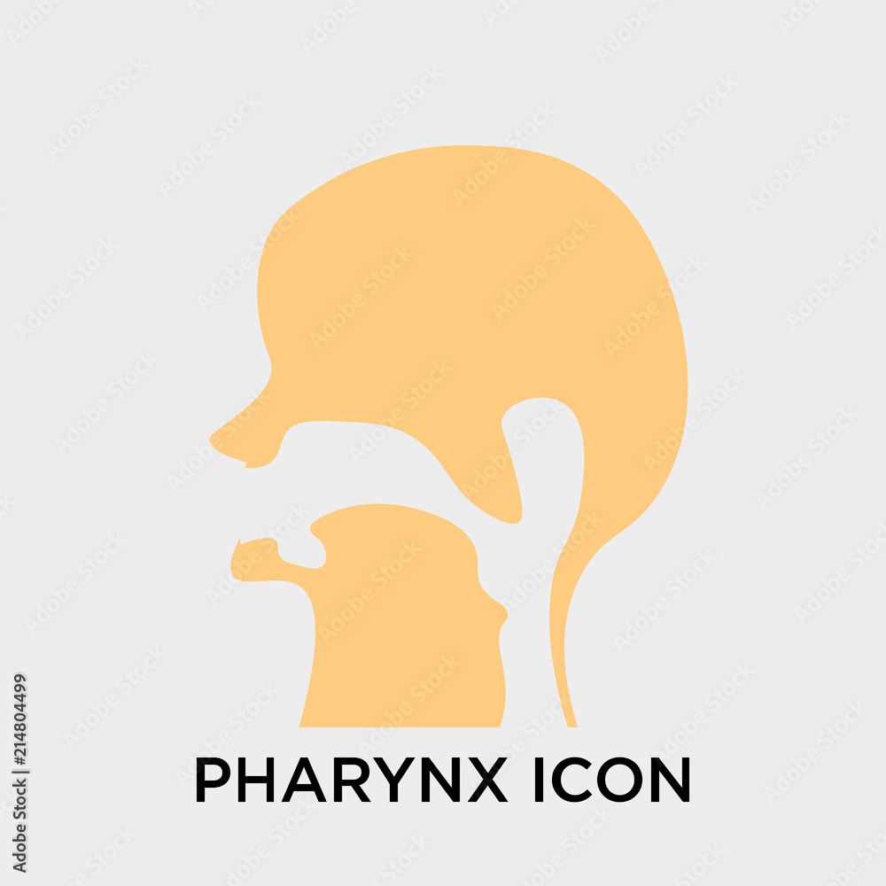 Pharynx icon vector sign and symbol isolated on white background, Pharynx logo concept เวกเตอร์ ...