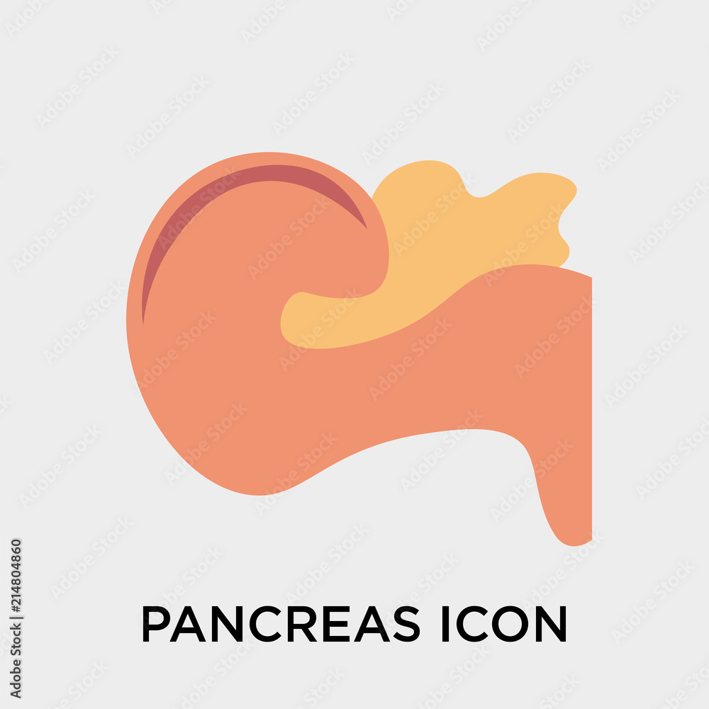 Pancreas icon vector sign and symbol isolated on white background ...