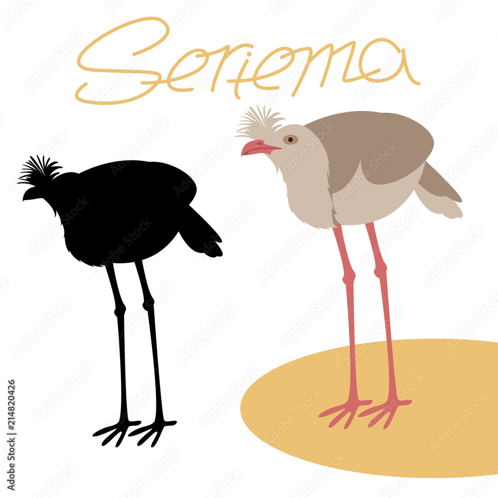bird red-legged seriema vector illustration black silhouette Stock ...