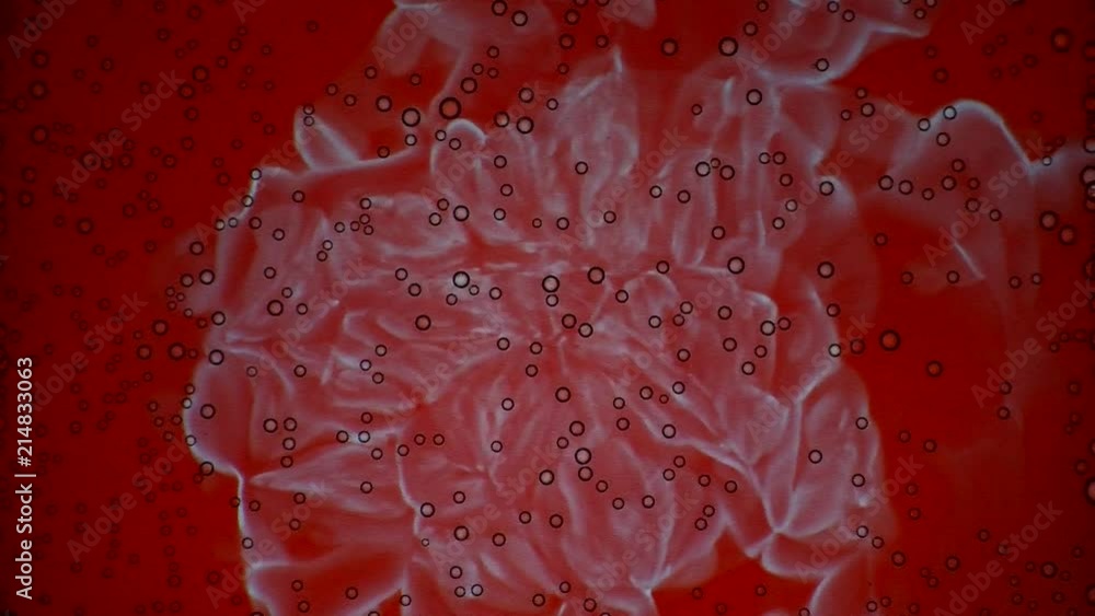 The Belousov–Zhabotinsky reaction, also known as the BZ reaction, forms ...
