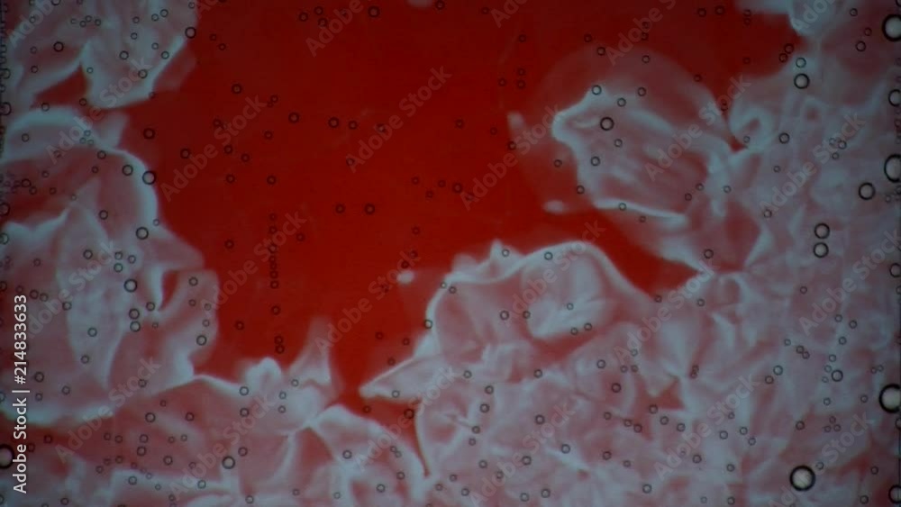 Vidéo Stock The Belousov–Zhabotinsky reaction, also known as the BZ ...