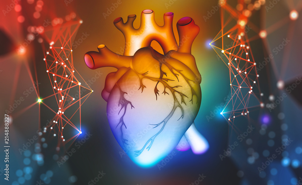 Human heart. Digital technologies in medicine and scientific research ...