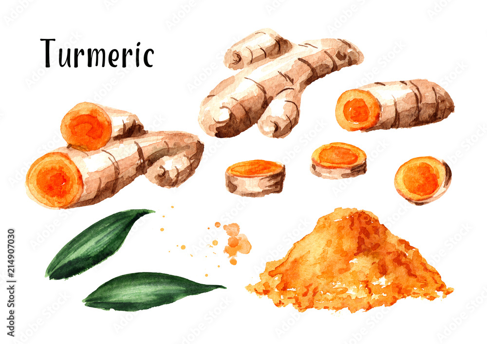 Turmeric root and powder set. Watercolor hand drawn illustration ...