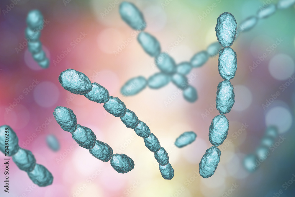 Haemophilus ducreyi bacteria, 3D illustration. Gram-negative ...