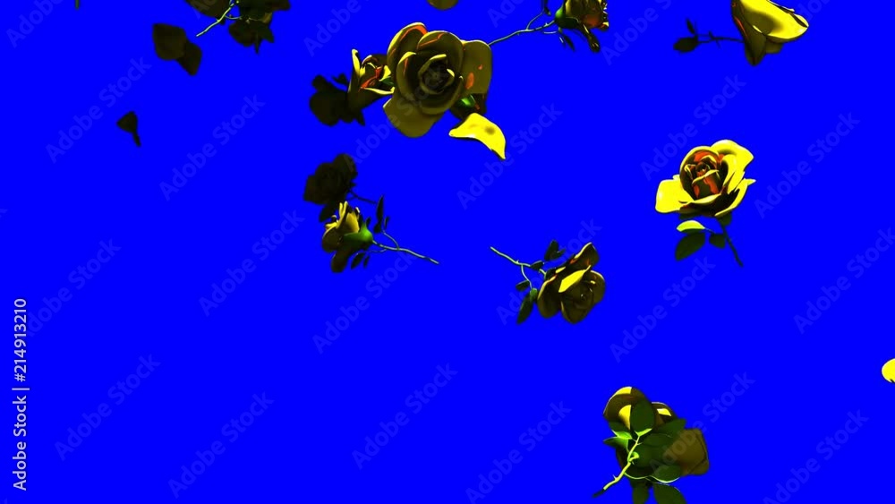Falling Yellow Roses On Blue Chroma Key.3DCG render Animation. Stock ...