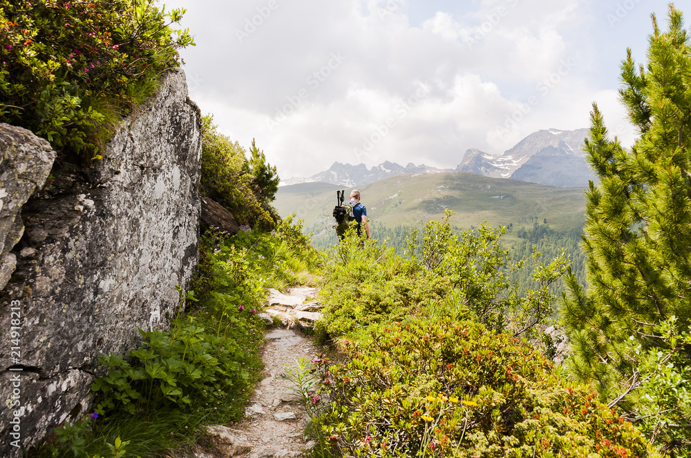 Fextal, Val Fex, Sils, Segl, Wanderweg, Blumenweg, Lärchen, Wanderer ...
