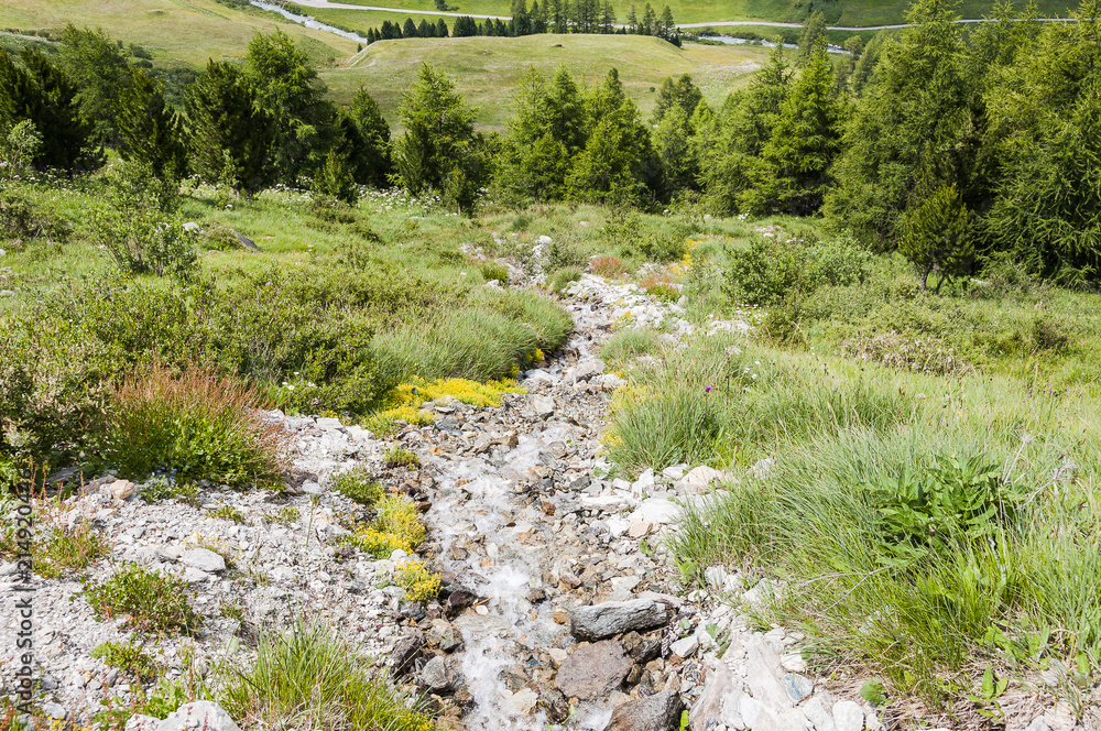 Sils, Furtschellas, Fextal, Val Fex, Marmorè, Wanderweg, Wasserfall ...
