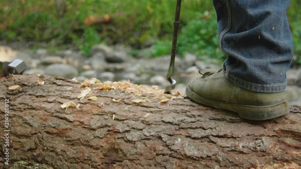Drilling into a Log during creating a natural Dam near Portland, Oregon ...