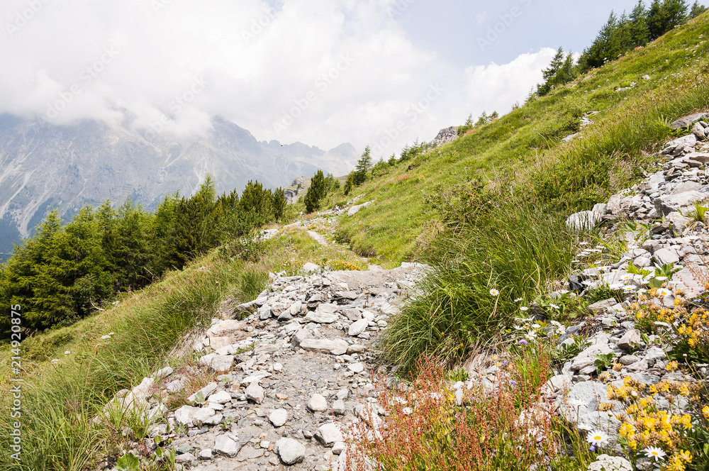 Sils, Segl, Val Fex, Fextal, Wanderweg, Marmorè, Alpen, Oberengadin ...