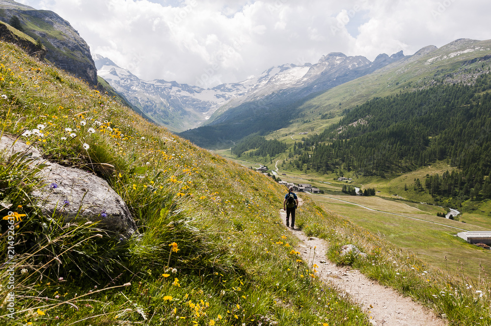 Sils, Val Fex, Fextal, Fex Platta, Fexgletscher, Wanderweg, Wanderer ...