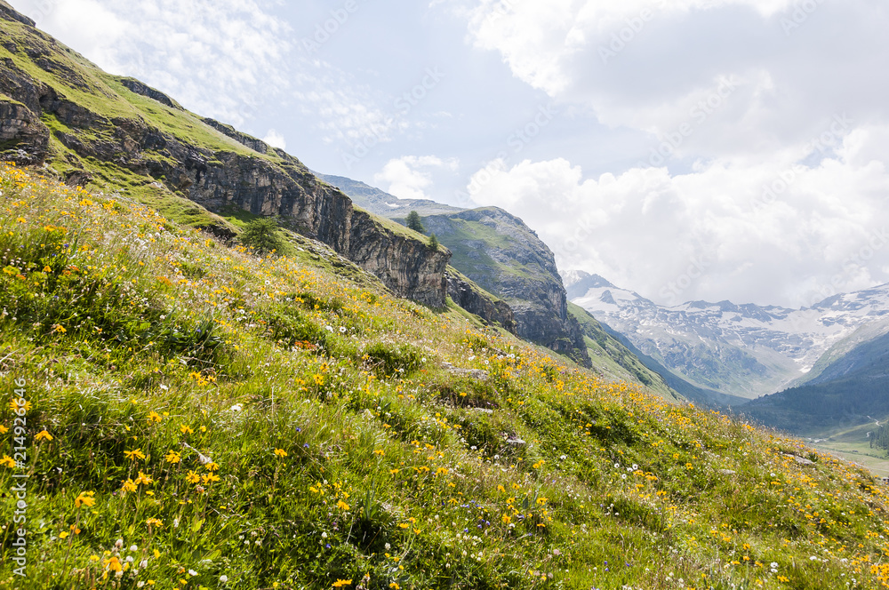 Sils, Fextal, Val Fex, Fexgletscher, Piz Tremoggia, Alpen, Gletscher ...