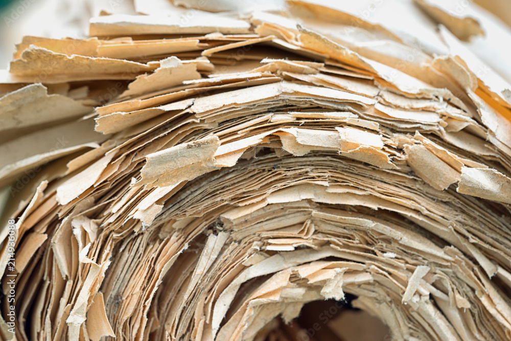 old papyrus paper scroll in roll close up side view. Stock Photo ...