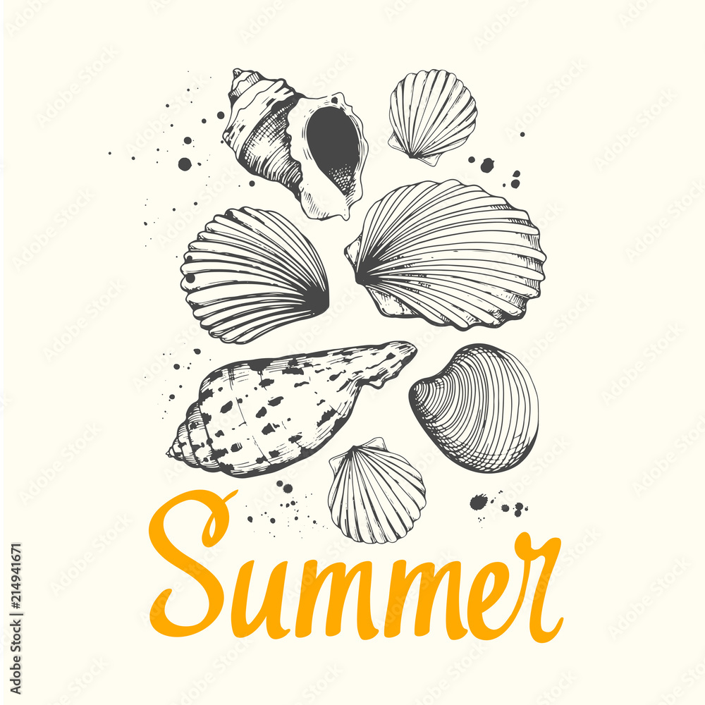 Travel vector illustration with sea shells in sketch style on pink ...