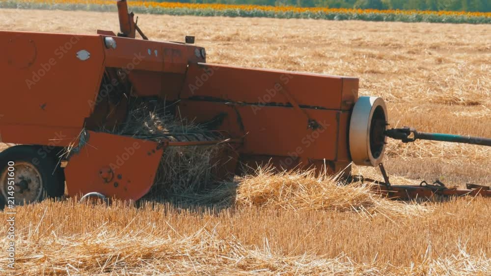 Wheat Harvest. Combine Unloading Wheat into a Tractor Trailer During ...