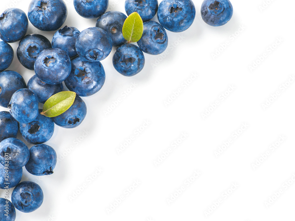Blueberry Border Clipart