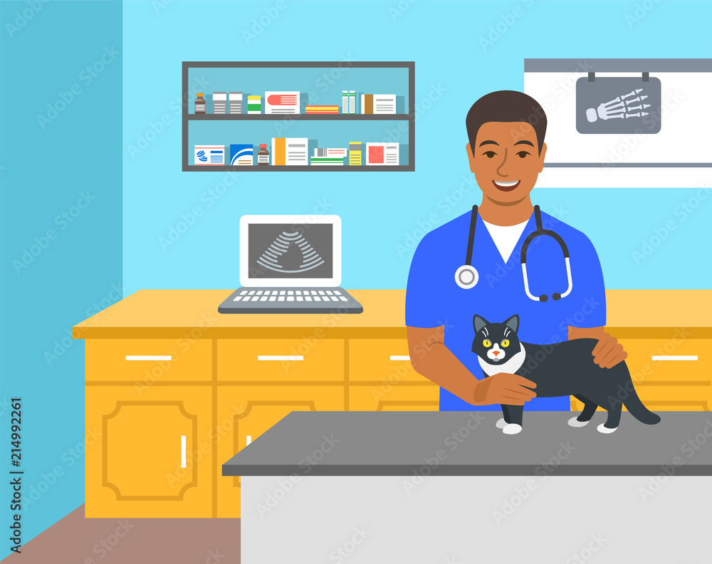 Veterinarian doctor holds dog on examination table in vet clinic ...
