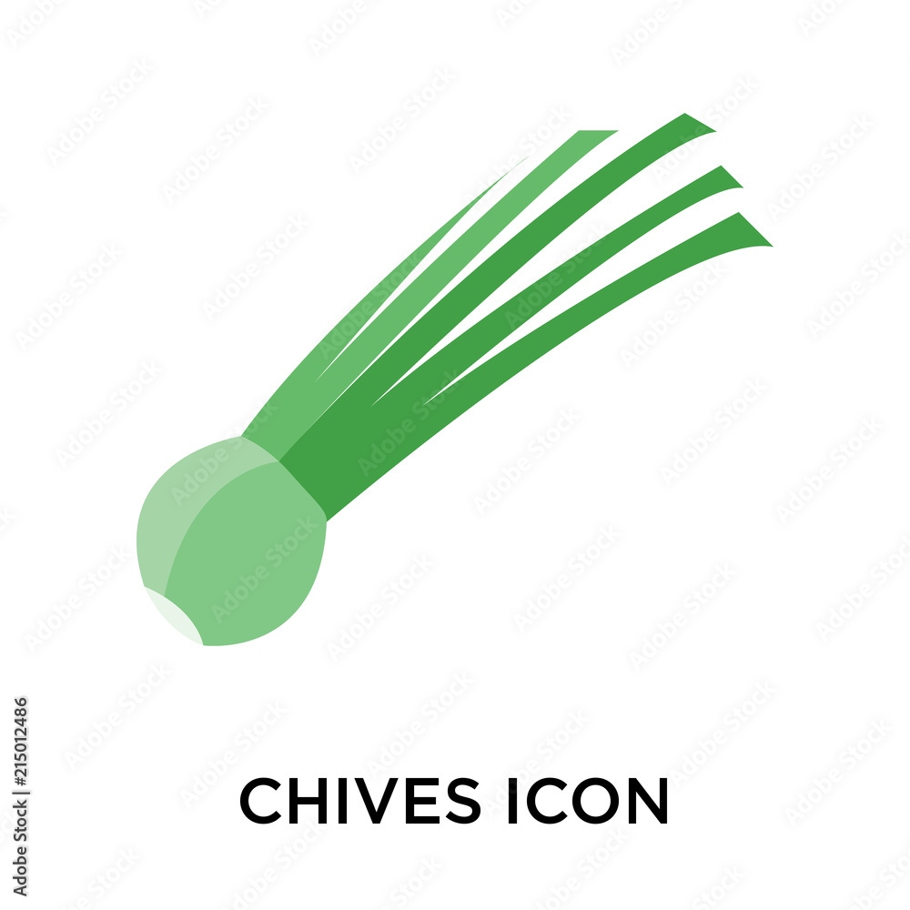chives icons isolated on white background. Modern and editable chives ...