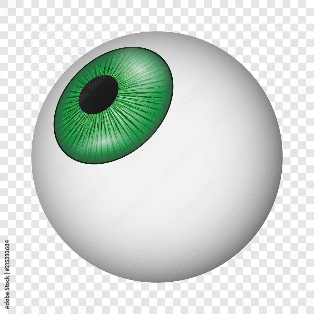 Eyeball icon. Realistic illustration of eyeball vector icon for on ...