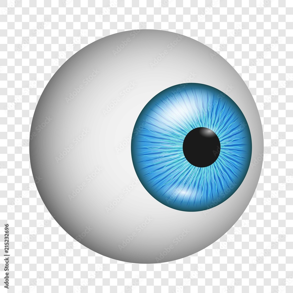 Eye anatomy icon. Realistic illustration of eye anatomy vector icon for ...