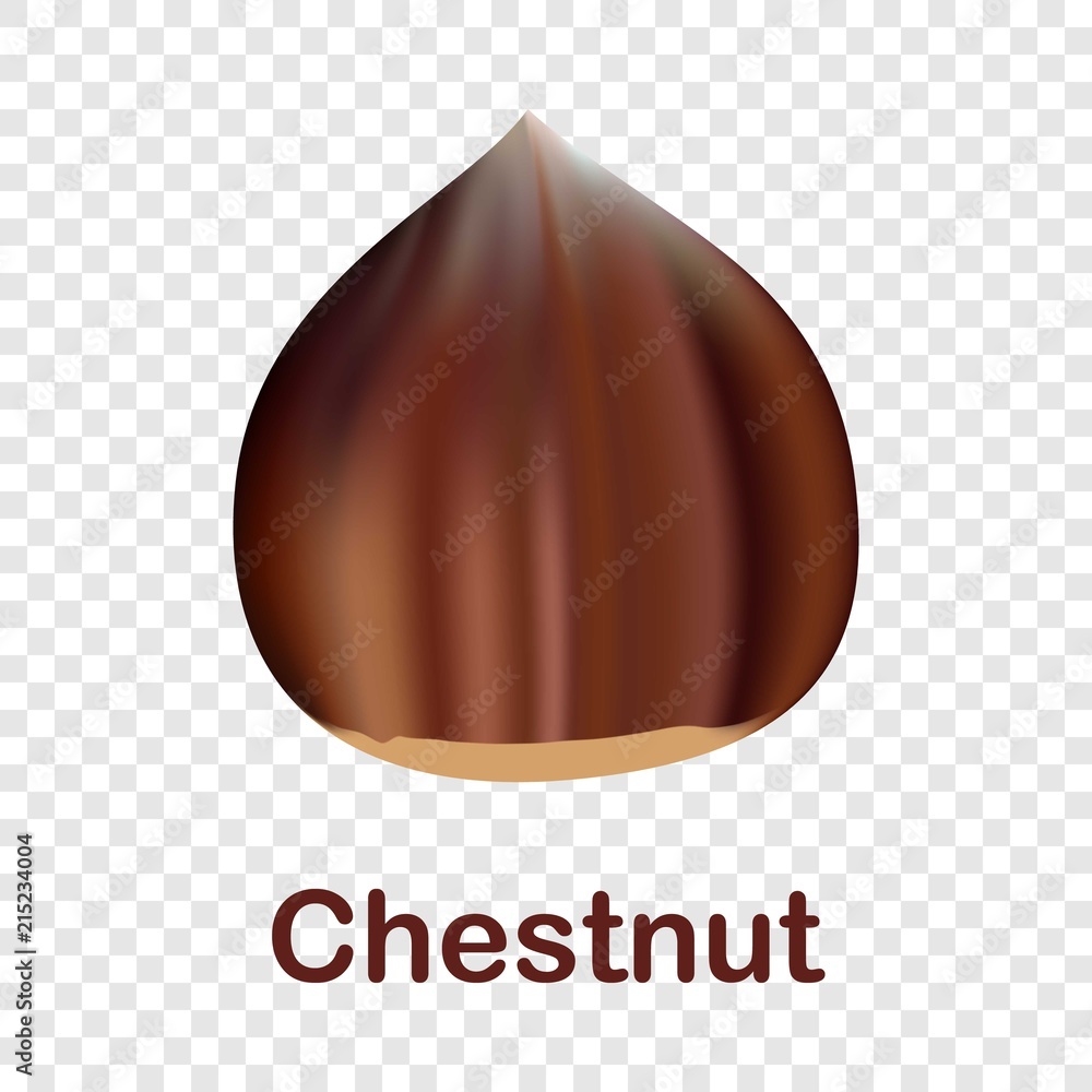 Chestnut icon. Realistic illustration of chestnut vector icon for on ...