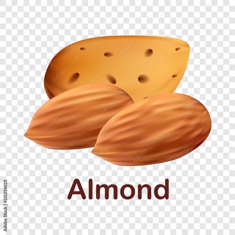 Almond icon. Realistic illustration of almond vector icon for on ...