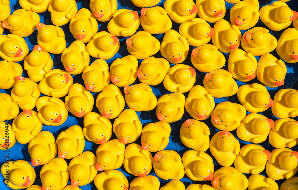 Gummienten Stock-Foto | Adobe Stock