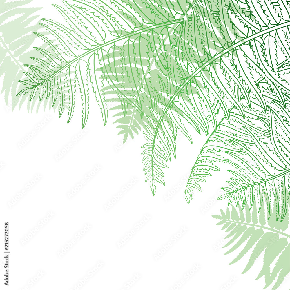 Vector corner composition of outline fossil forest plant Fern with ...