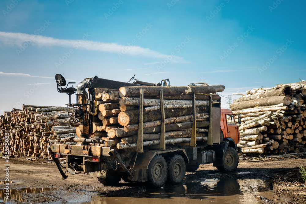 Full load truck carries wooden logs. Logging, storage and ...