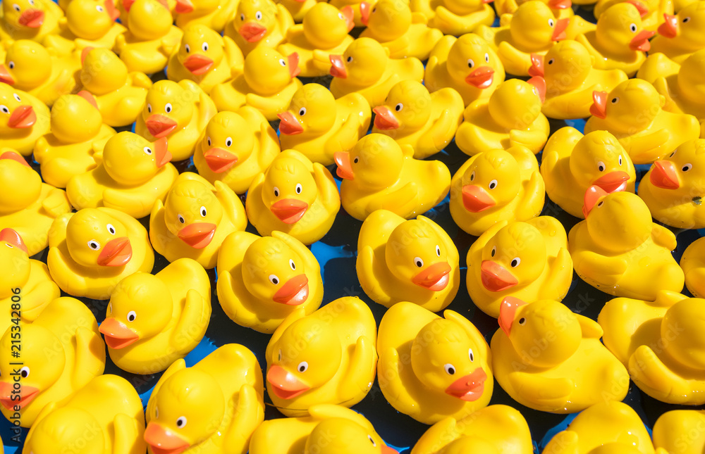 Gummienten Stock-Foto | Adobe Stock