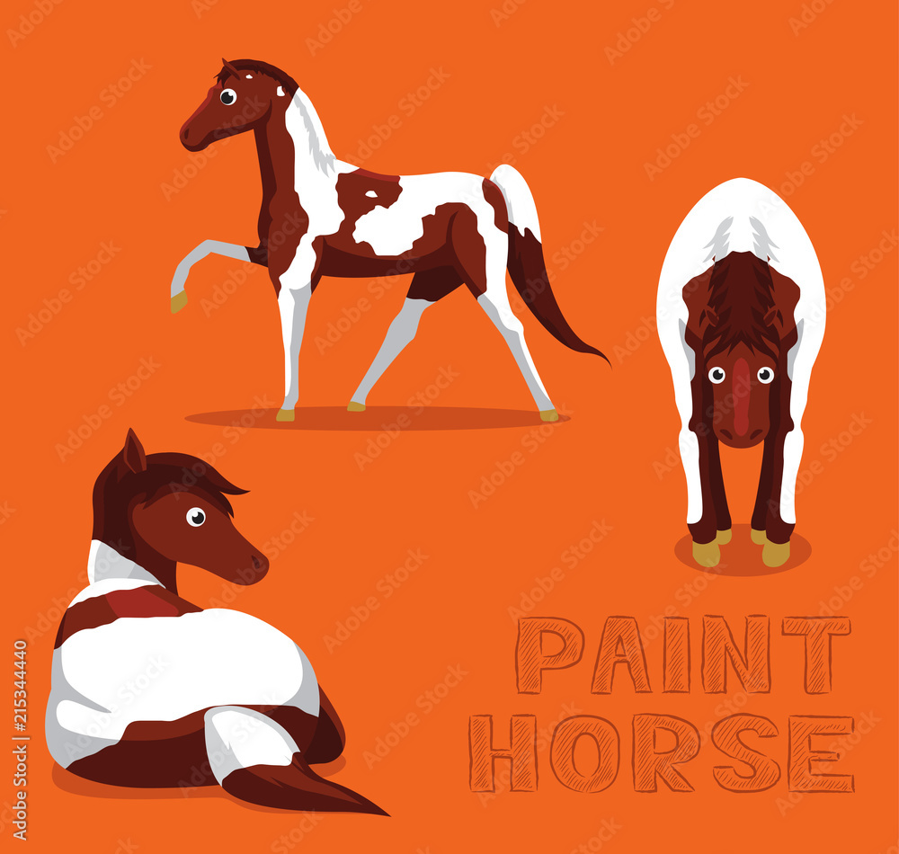 Horse Paint Horse Cartoon Vector Illustration Stock Vector | Adobe Stock
