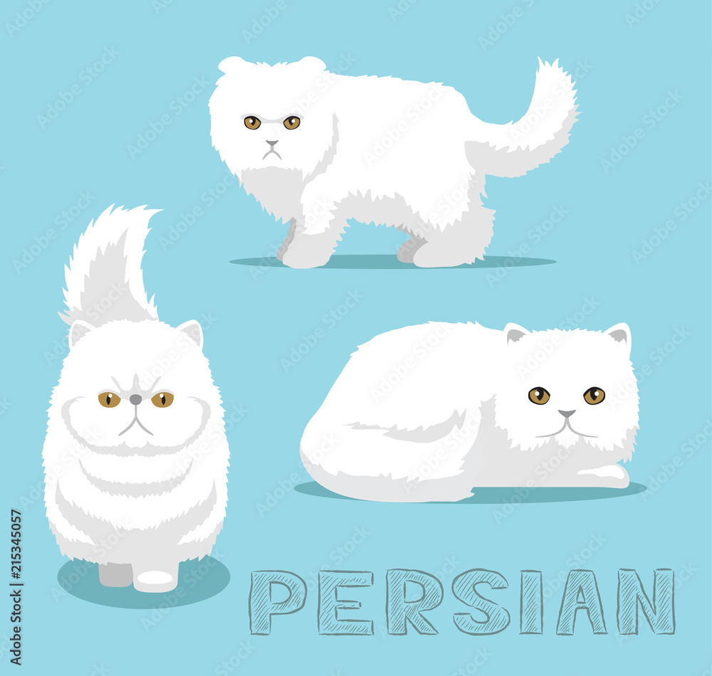 Cat Persian Cartoon Vector Illustration Stock Vector | Adobe Stock