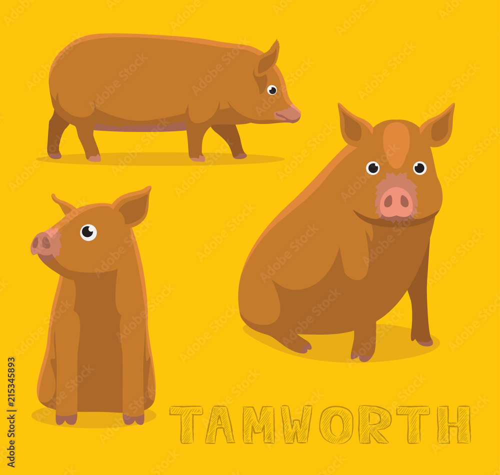 Pig Tamworth Cartoon Vector Illustration Stock Vector | Adobe Stock