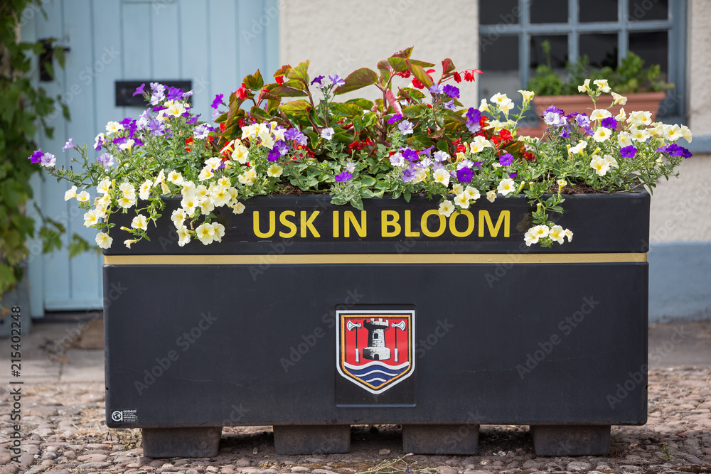 Usk in bloom planter box with a stunning competition display for the ...