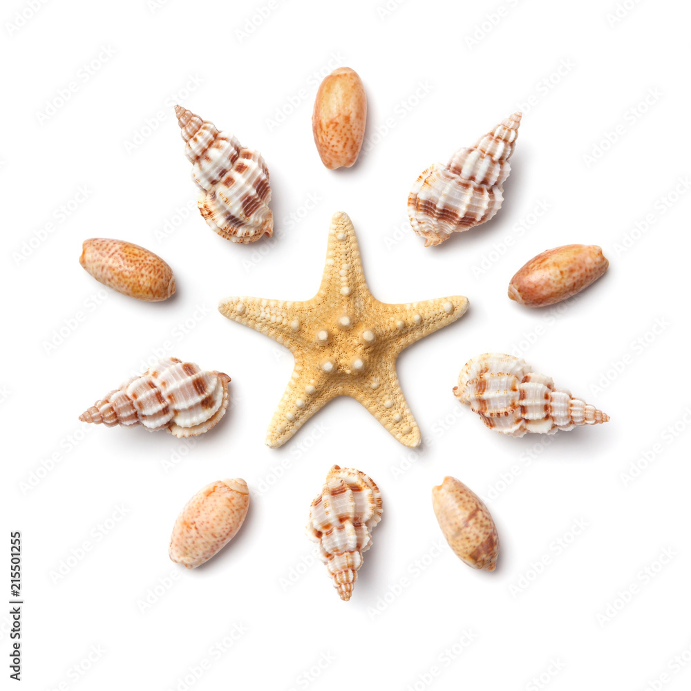 Pattern in the form of a circle of sea shells and starfish isolated on ...