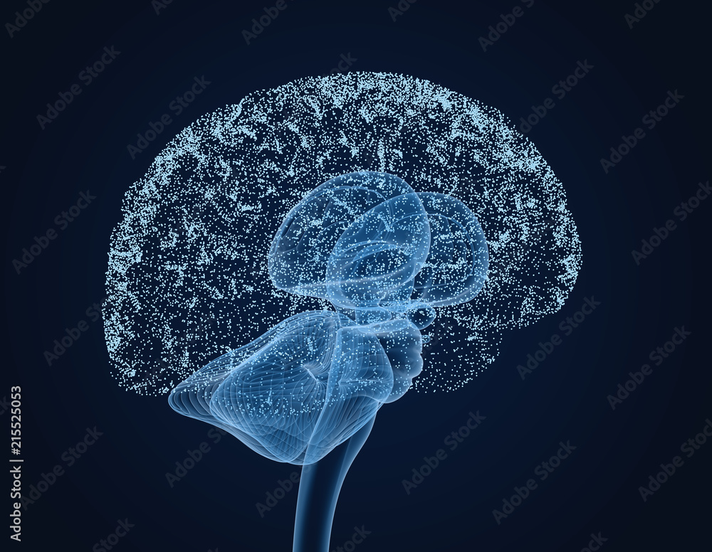 Human brain X-ray scan , Medically accurate 3D illustration Stock Photo ...