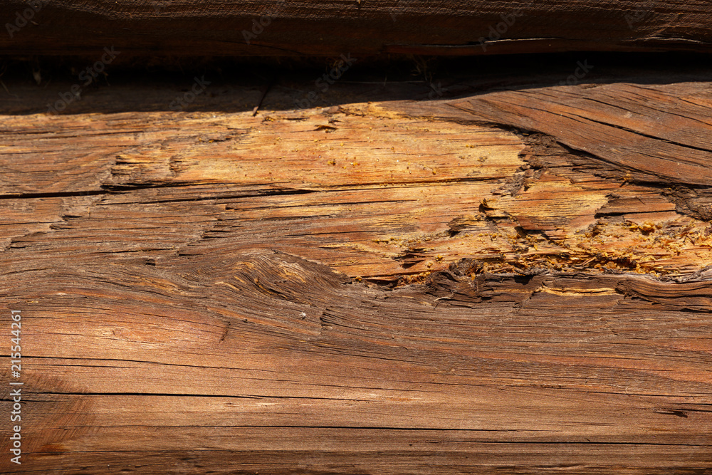 Wooden beams. Wood texture. Background. Wooden log cabin wall natural ...