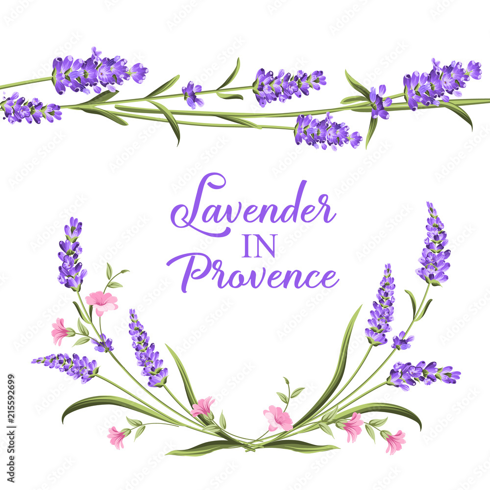 Frame of lavender flowers on a white background. Label of soap package ...
