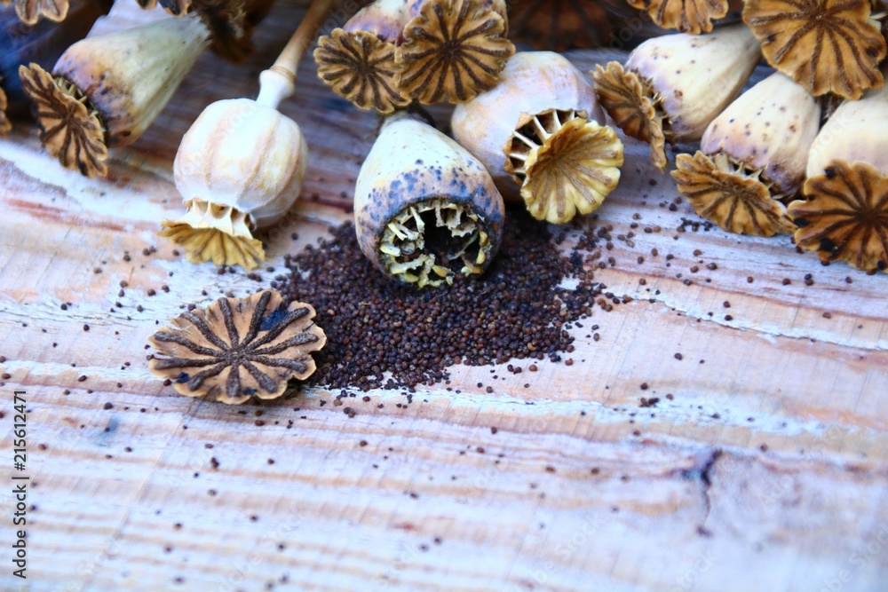 mohn samen Stock-Foto | Adobe Stock