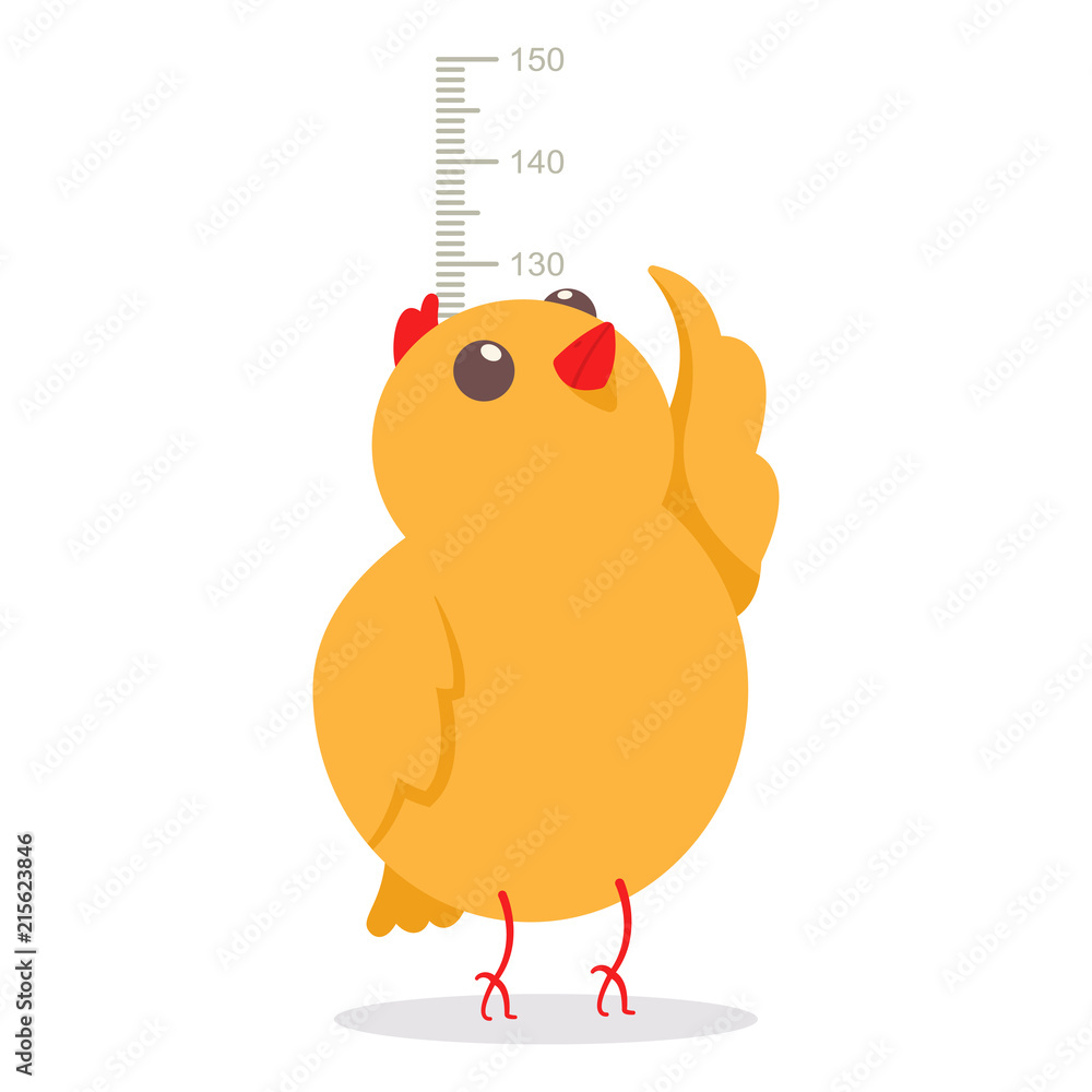 Cute little chicken measuring the height on meter wall chart growth ...