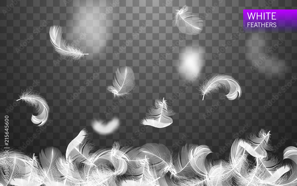 Set of isolated falling white fluffy twirled feathers on transparent ...