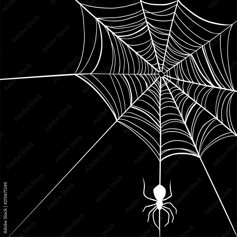 Vector spider web and small spider on a white background. Stock Vector ...