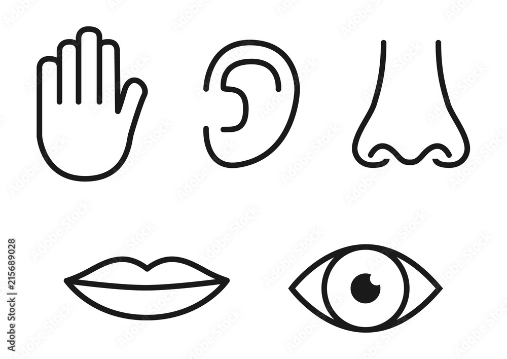 Outline icon set of five human senses: vision (eye), smell (nose ...