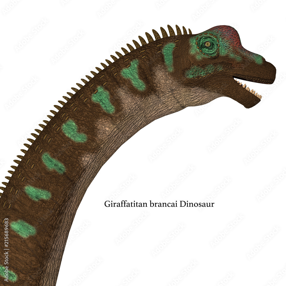 Giraffatitan Dinosaur Head with Font - Giraffatitan was a herbivorous ...