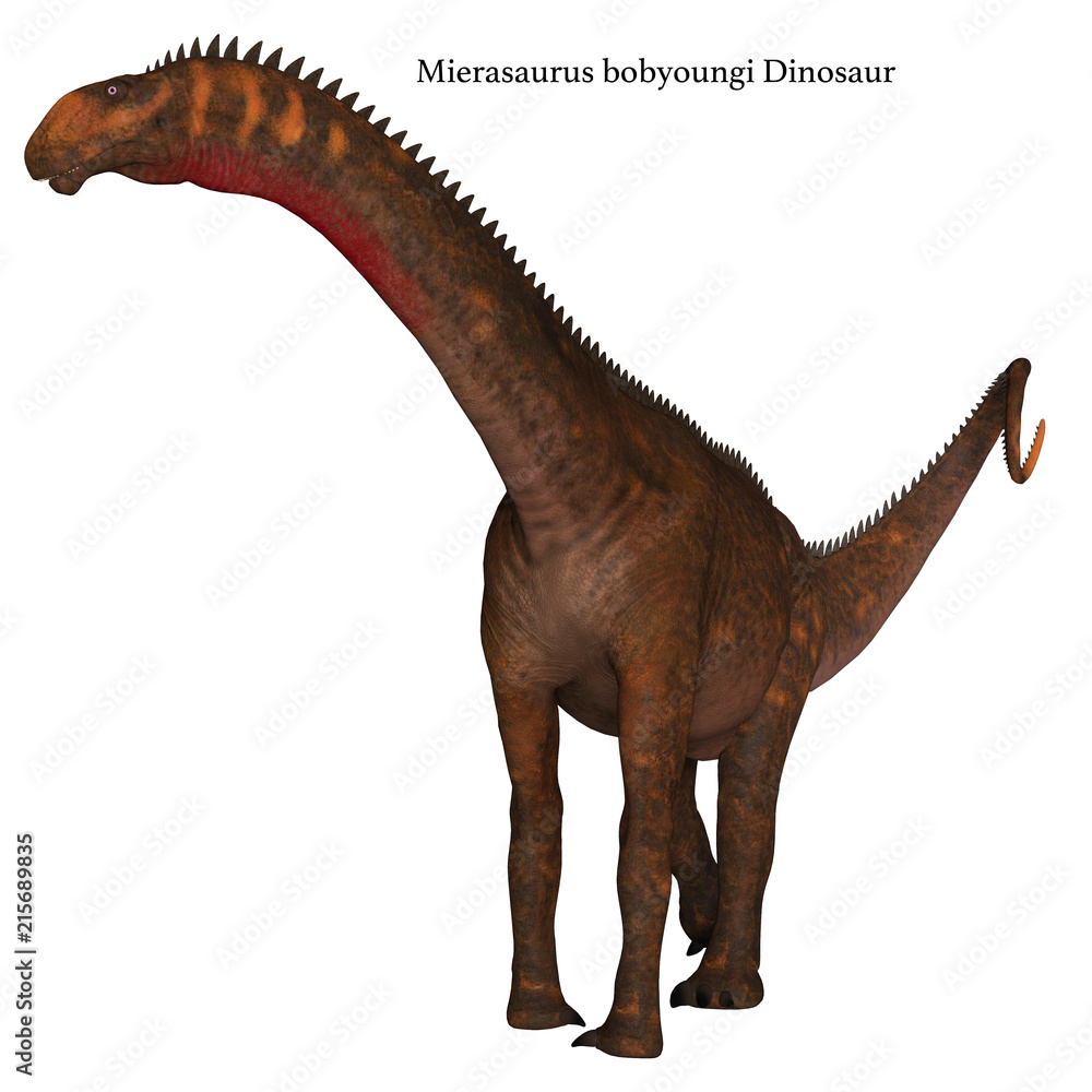 Mierasaurus Dinosaur on White with Font - Mierasaurus was a herbivorous ...