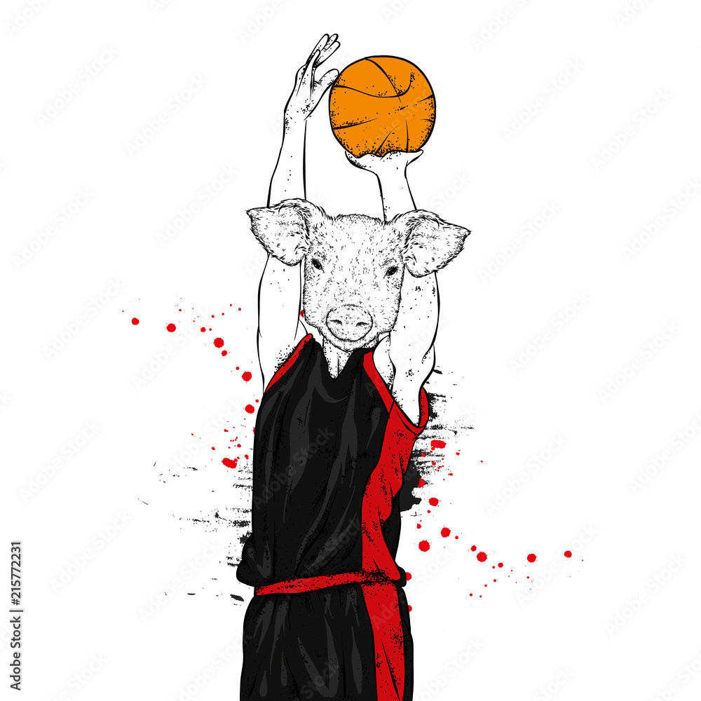 Basketball player with a pig head. Athlete with a basketball. Vector ...