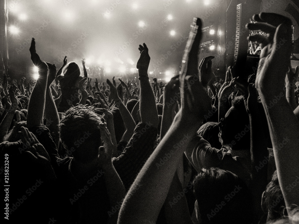 Cheering fans at a concert Stock Photo | Adobe Stock