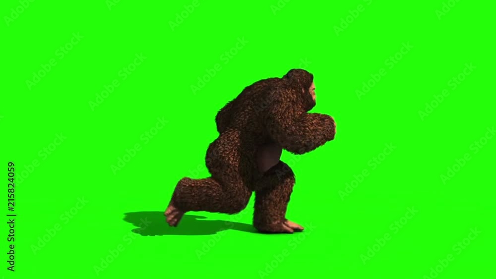 Vidéo Stock Bigfoot Sighting Run Loop Green Screen 3D Rendering ...